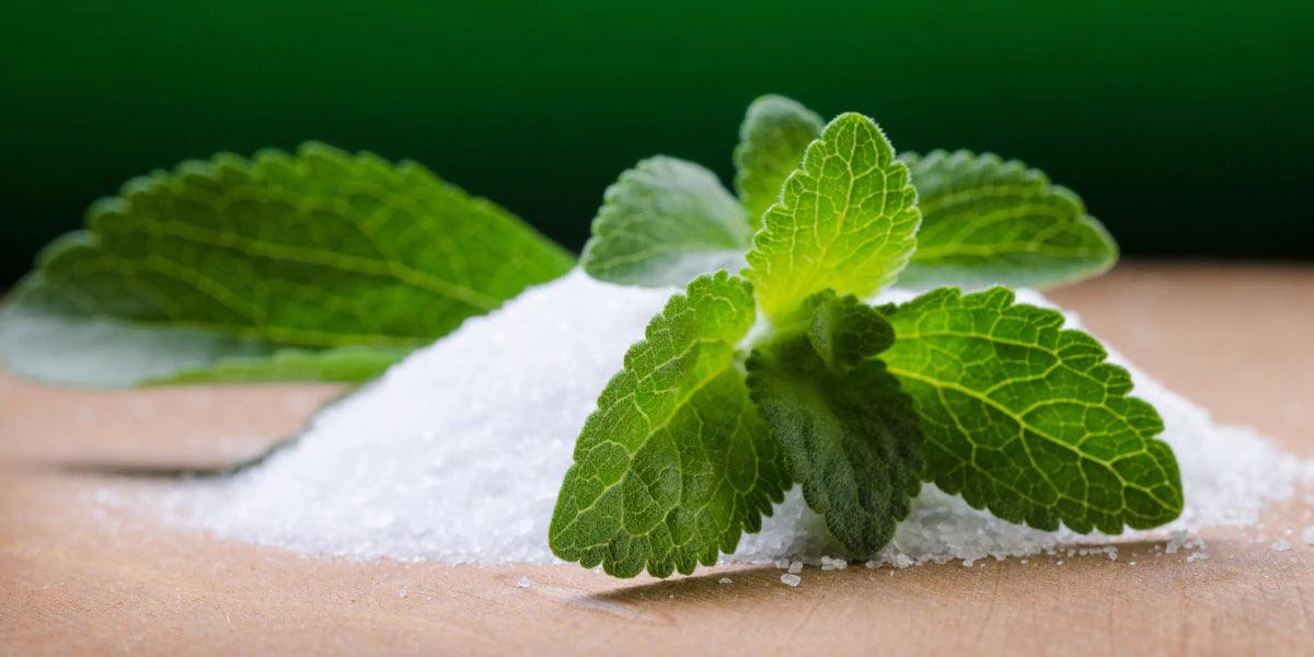 Stevia: A guide from Purition | Blog | Purition – Purition UK